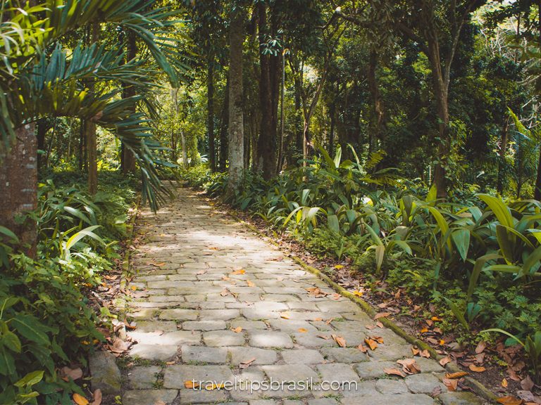 Parque Lage o que fazer? Como é a visita guiada - Travel Tips Brasil